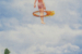FINE ART - Robin McCarthy